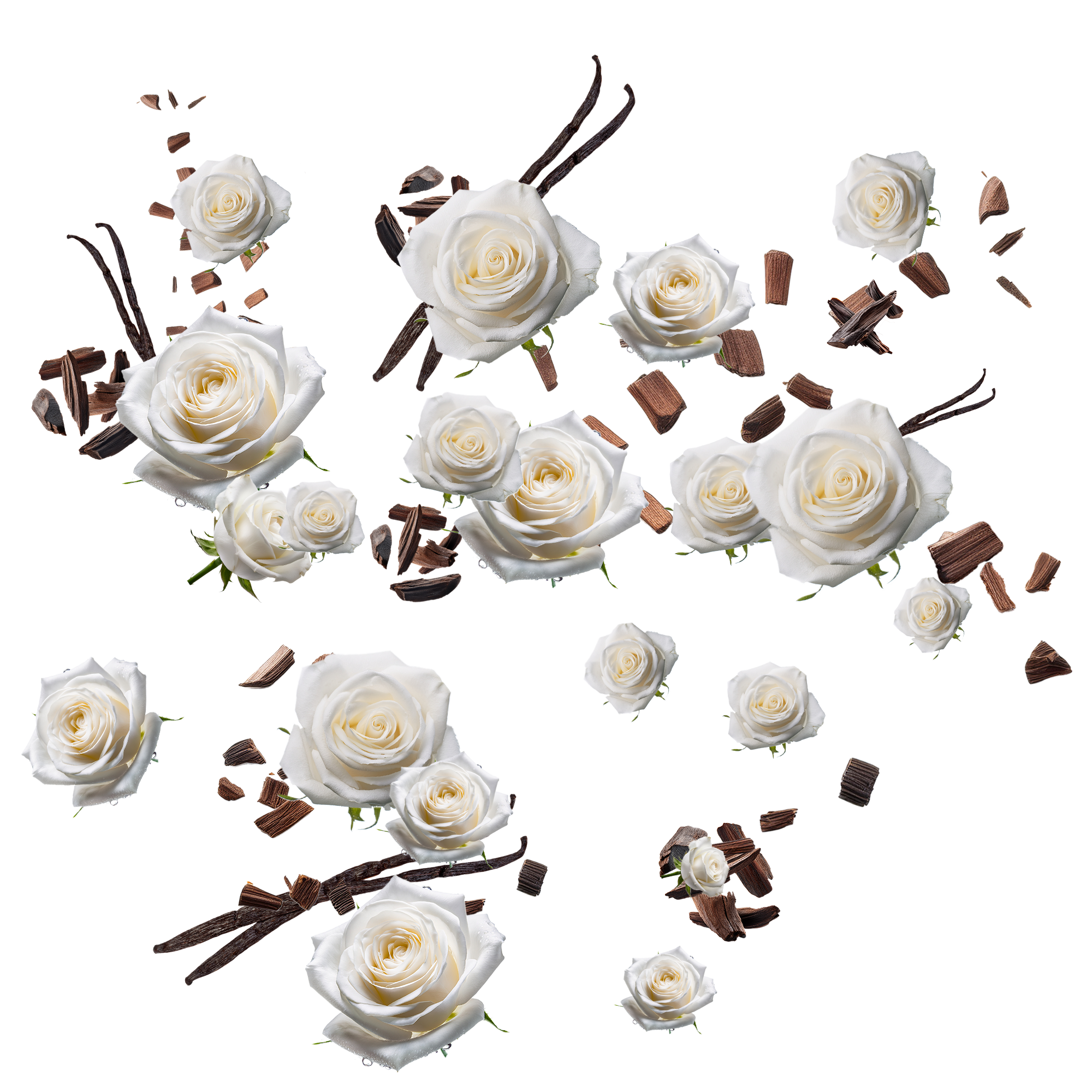 Mini Deodorant - Travel Size Deodorant Sticks