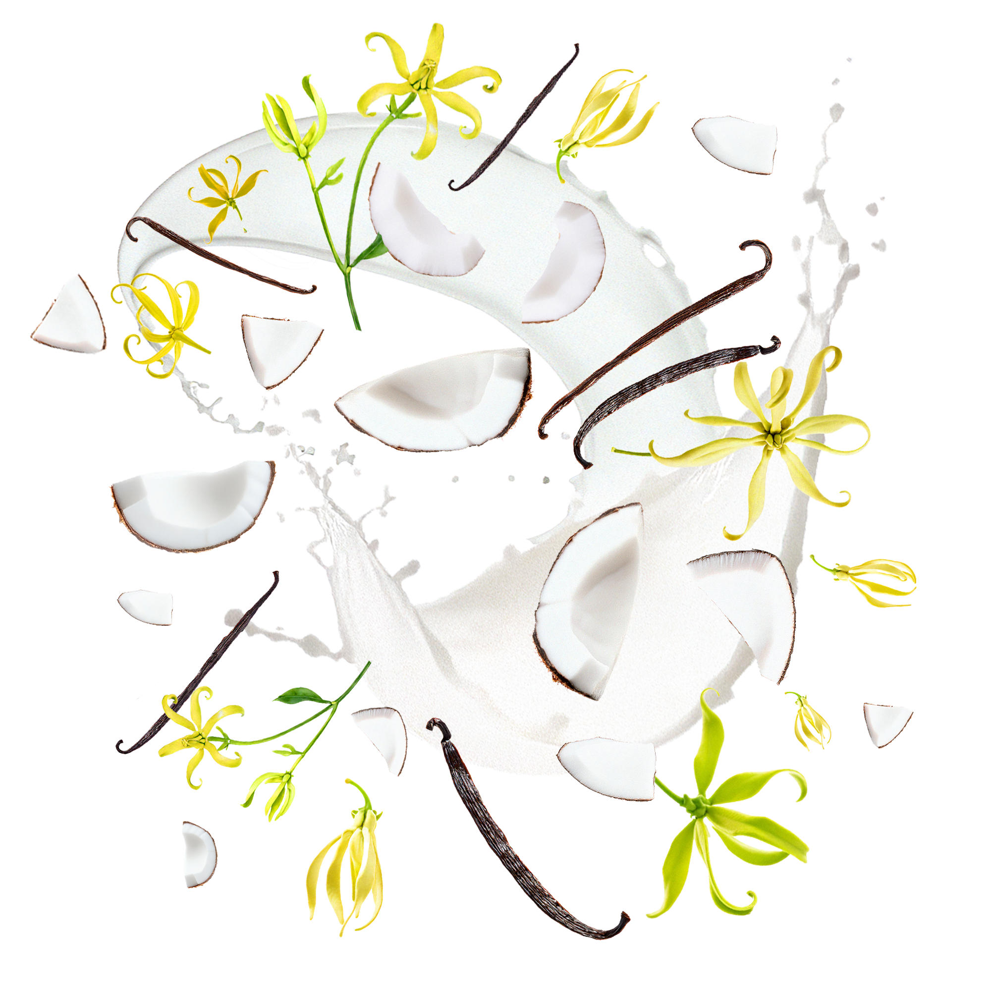 Natural Body Wash - Refillable Organic Shower Gels